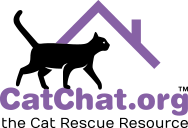 Cats Protection - North Wales Cat Centre - Cat Chat